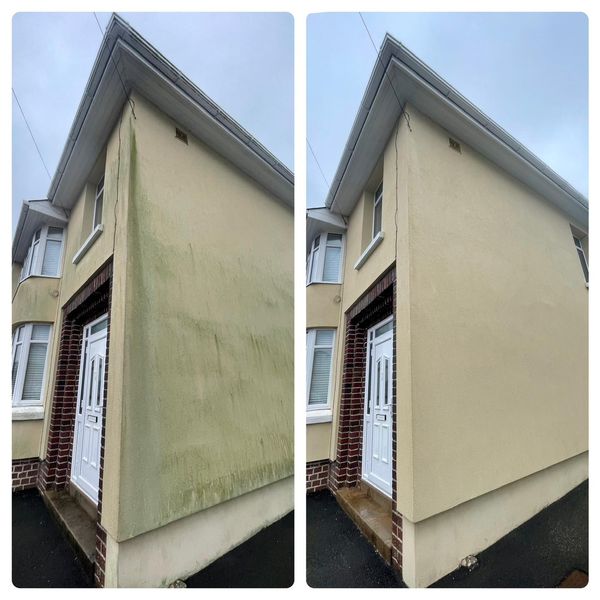 Softwash Render Cleaning